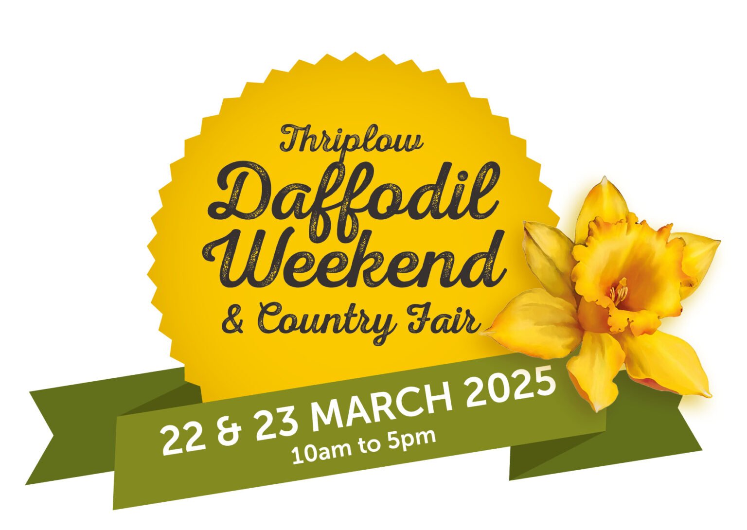 Thriplow Daffodil Weekend – Local Connections Magazine