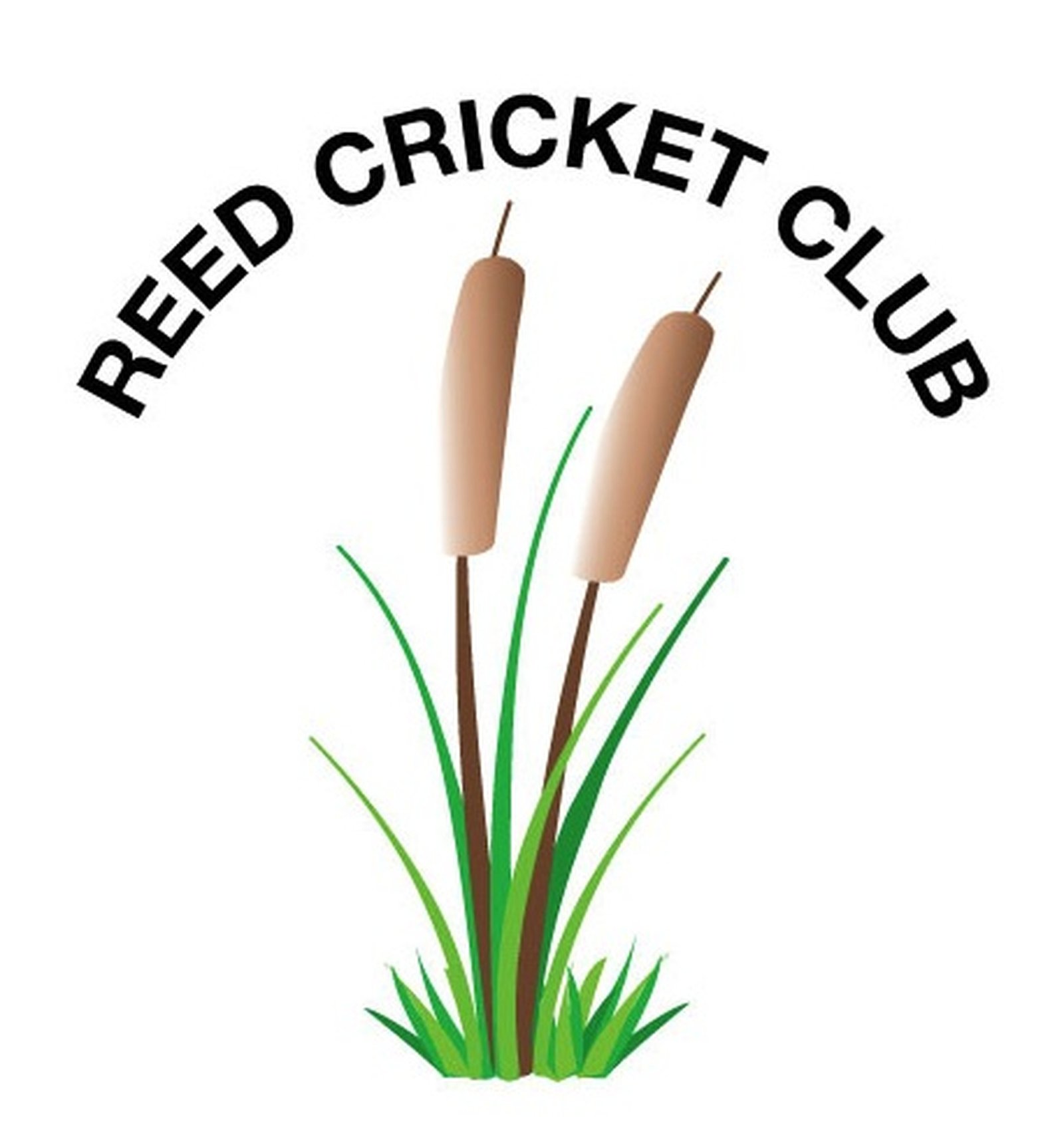 Reed Cricket Club – Local Connections Magazine
